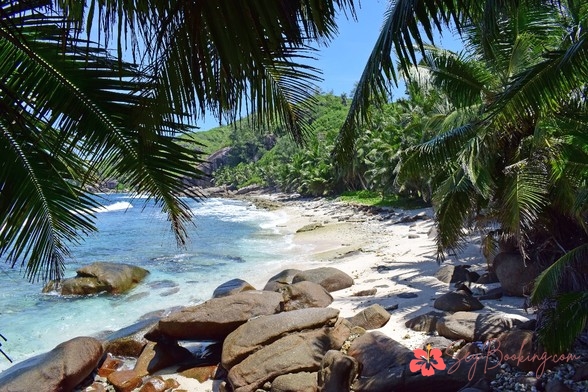 ANSE CORAIL | Seychelles Guide Powered by SeyBooking.com