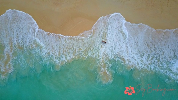 ANSE INTENDANCE | Seychelles Guide Powered by SeyBooking.com